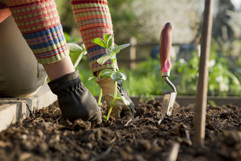 When to Work the Garden Soil - Canada's Local Gardener magazine